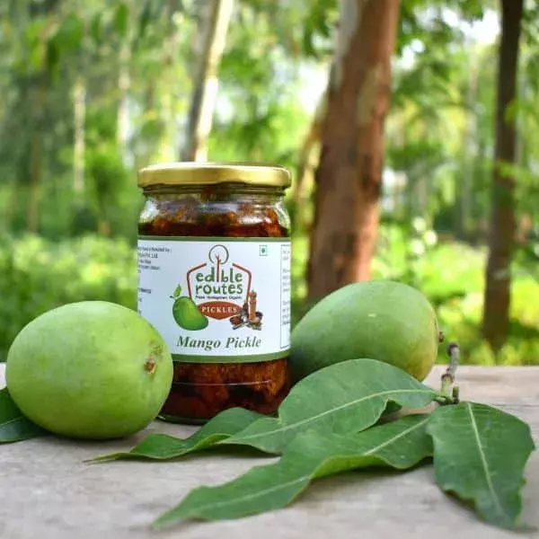 Organic Mango Pickle – Flavor-Packed, Handcrafted, & Healthy with Desi ...